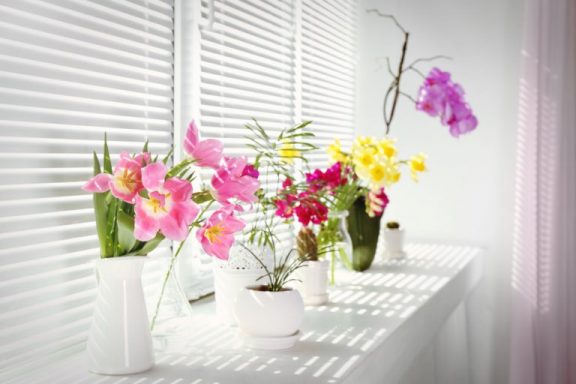 The Art of Choosing Home Fragrances - Decor Tips