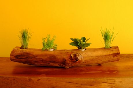 How to Make your Own Tree Trunk Plant Pots - Decor Tips