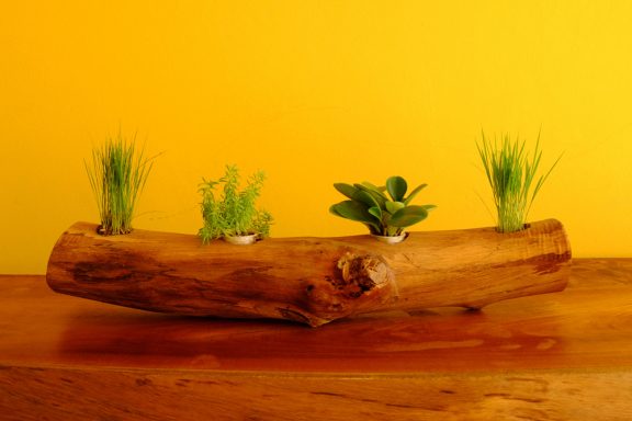 How to Make your Own Tree Trunk Plant Pots - Decor Tips