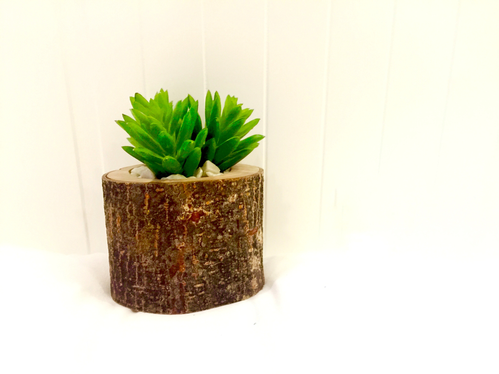 How to Make your Own Tree Trunk Plant Pots - Decor Tips