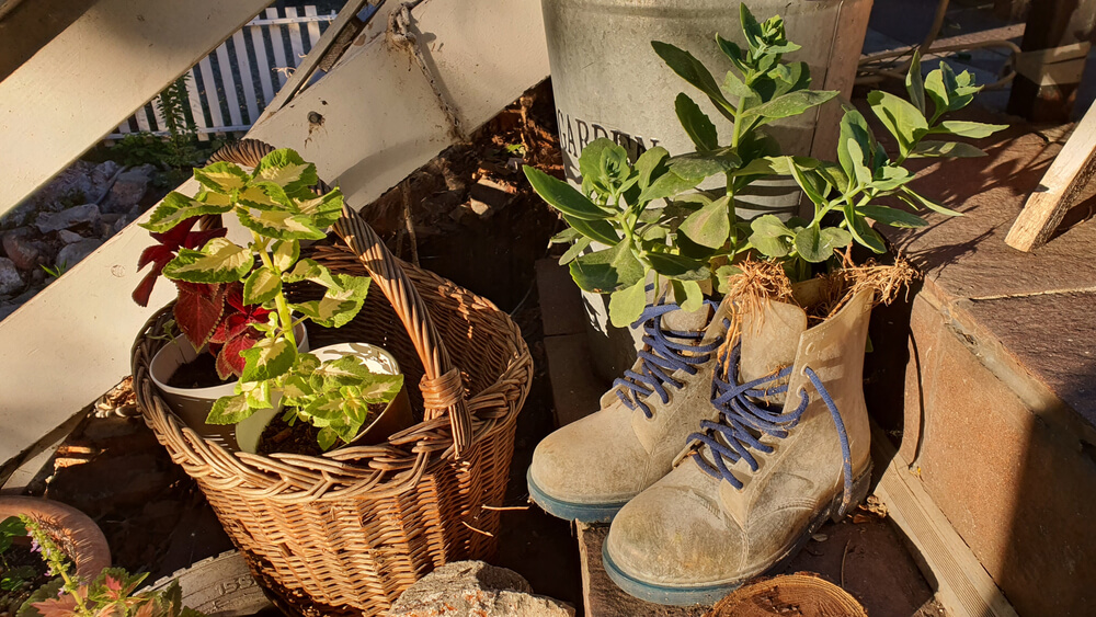 Reuse Your Boots and Sneakers as Original Flower Pots