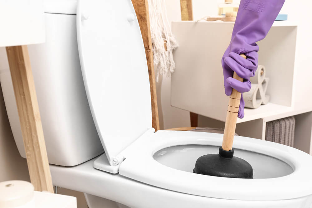 Water Won't Go Down? 3 Tricks for Blocked Toilets - Decor Tips