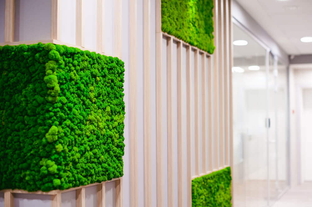 4 Ideas for Moss Walls in Your House - Decor Tips