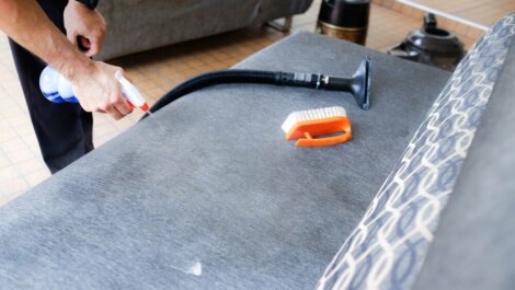 How to Eliminate Mites in Your Home - Decor Tips
