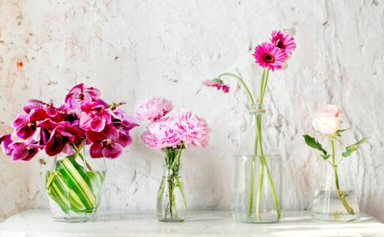 Design Harmony: How to Create Harmony in a Space - Decor Tips